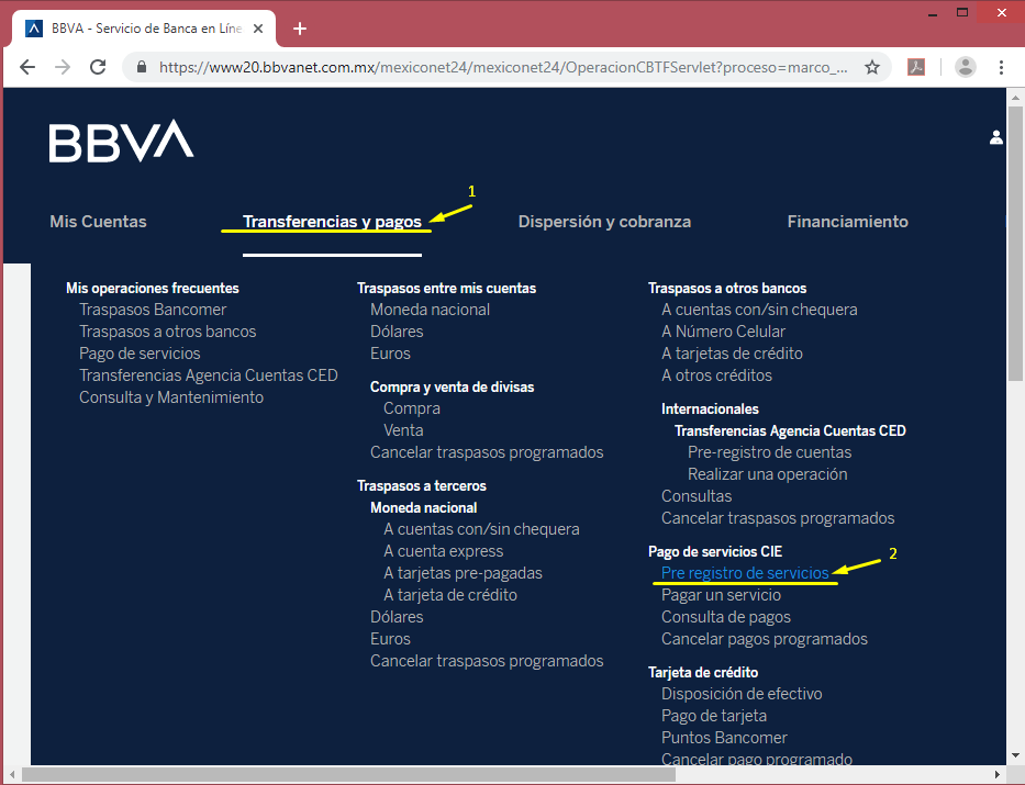 GUIA PARA REALIZAR PAGO DE SERVICIO CIE DESDE EL PORTAL WEB DE BBVA ...
